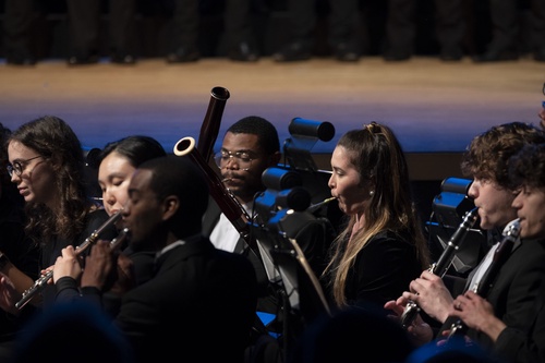 SOM: Music Majors Recruitment 2 (web/print)